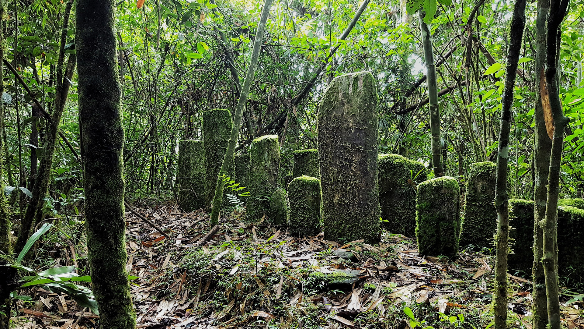 Sacred Tombs in Spiny Forest - Steppes Travel