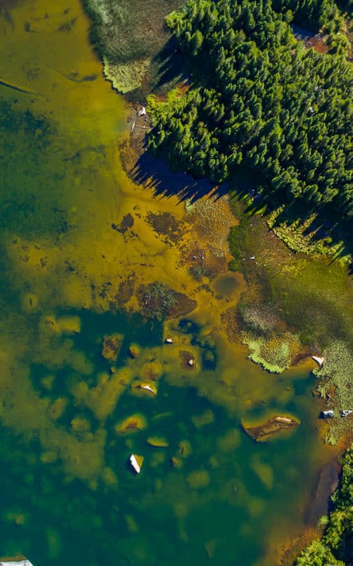 Exploring Secret Patagonia - Tagua Tagua Park - Steppes Travel