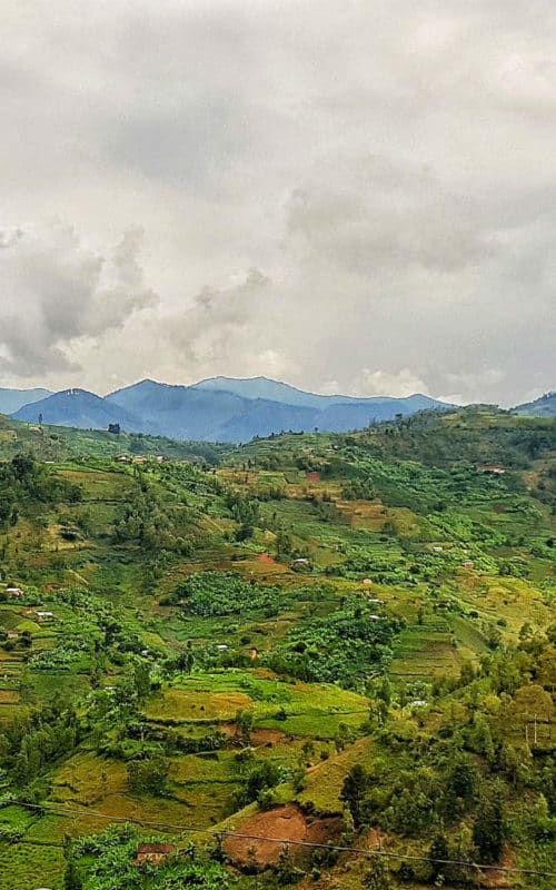 Rediscovering Rwanda in Nyungwe Forest National Park - Steppes Travel