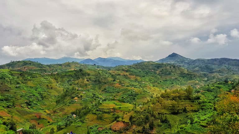 Rediscovering Rwanda in Nyungwe Forest National Park - Steppes Travel