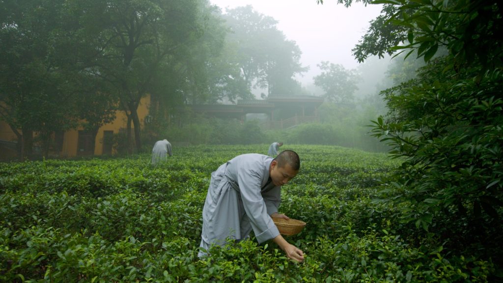 Amanfayun - Hangzhou, China | Steppes Travel
