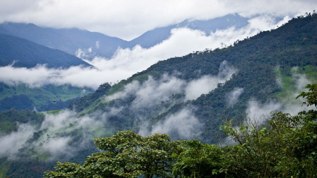 Amazon, Cloud Forest & Avenue of Volcanoes - Steppes Travel