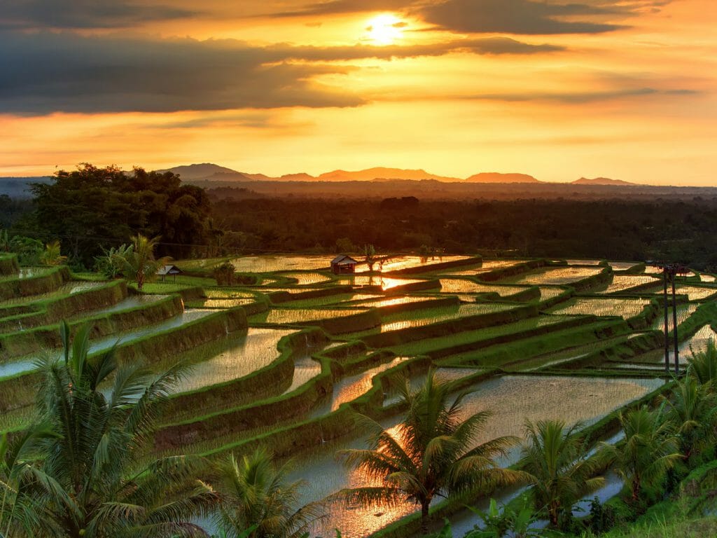 Sumatra holidays in Indonesia - Steppes Travel