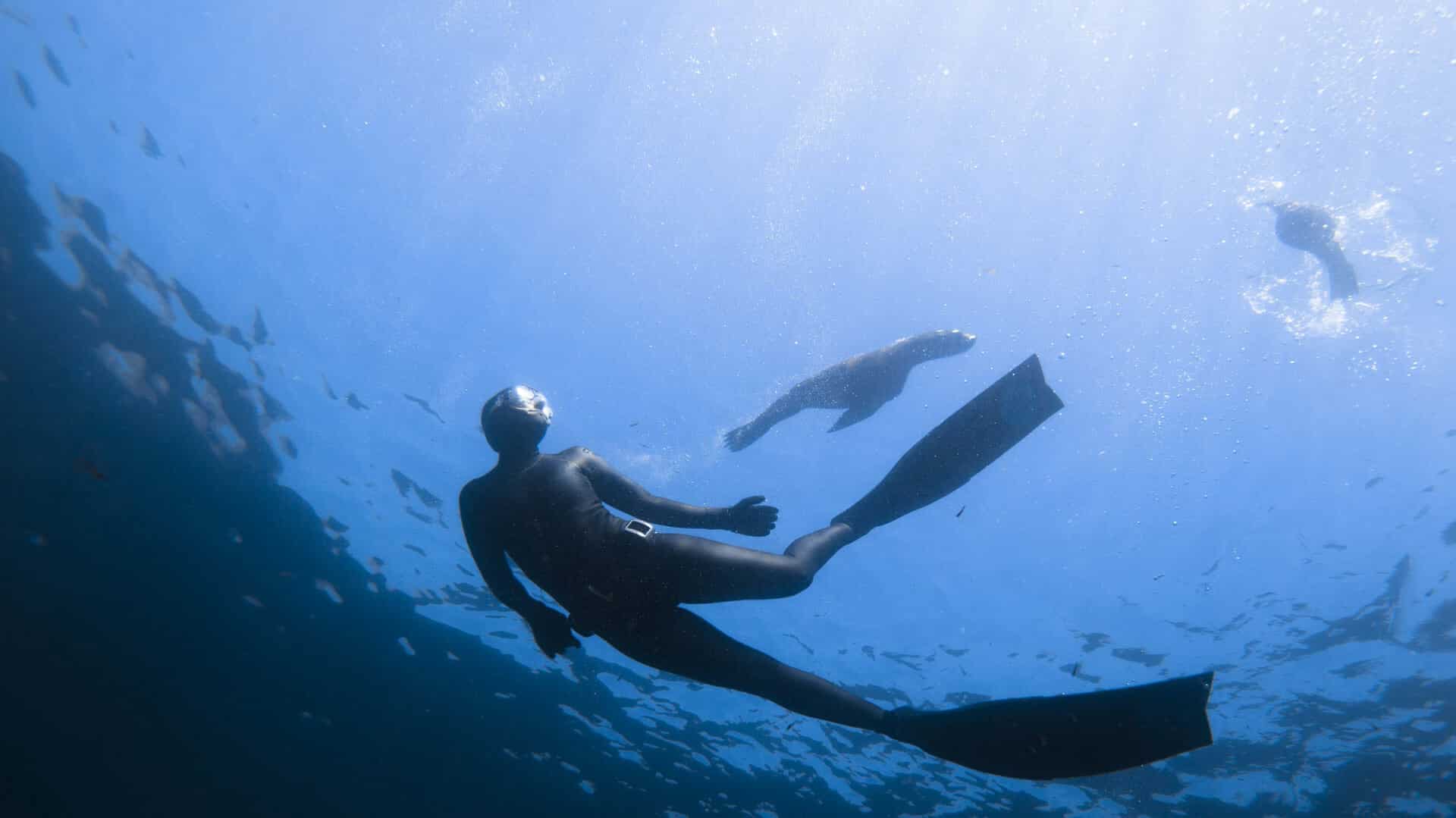 Freediving - Frequently Asked Questions with Hanli Prinsloo