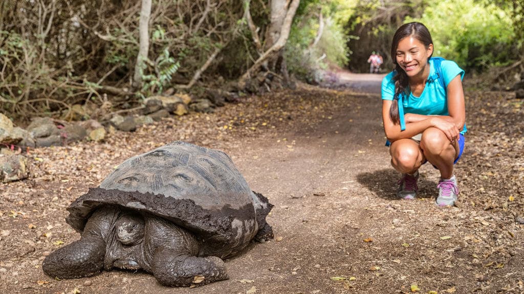 Action filled family adventures | Steppes Travel