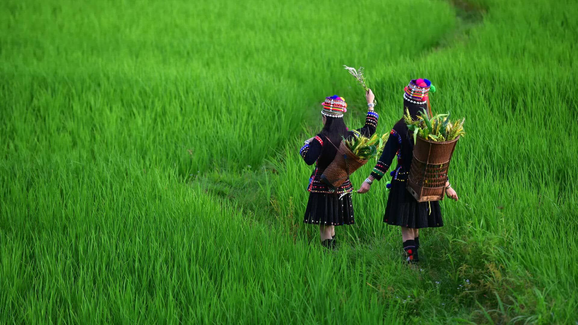 The Best Time to Visit Thailand | When to go | Steppes Travel