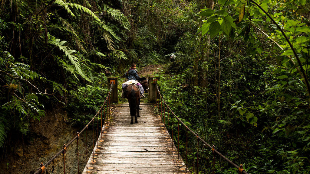 Gocta Andes Lodge - Northern Peru - Steppes Travel