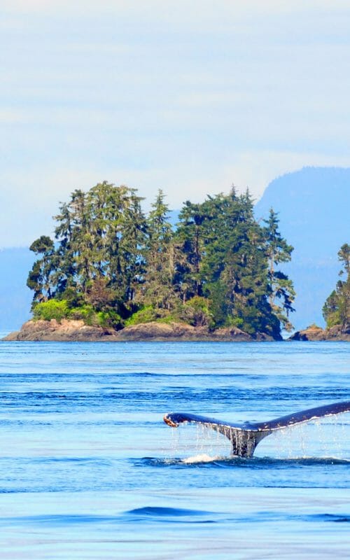 Vancouver Island Holidays - Canada - Steppes Travel