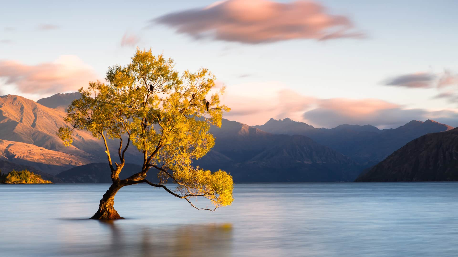 Queenstown & Wanaka - New Zealand Holidays - Steppes Travel