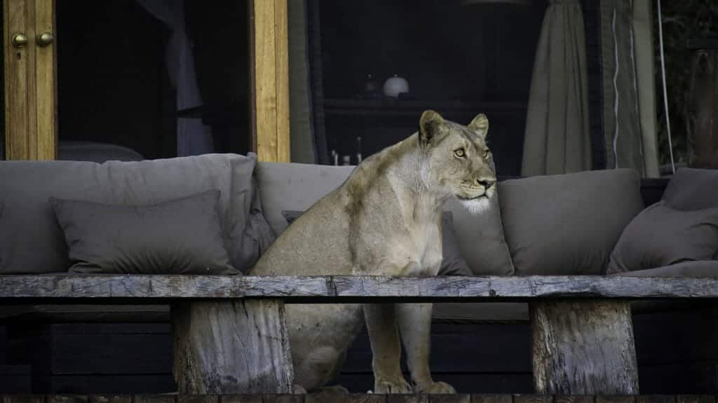 Shumba Camp - Kafue National Park, Zambia | Steppes Travel