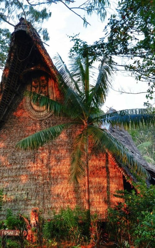 Rondon Ridge - Mt Hagen, Papua New Guinea | Steppes Travel