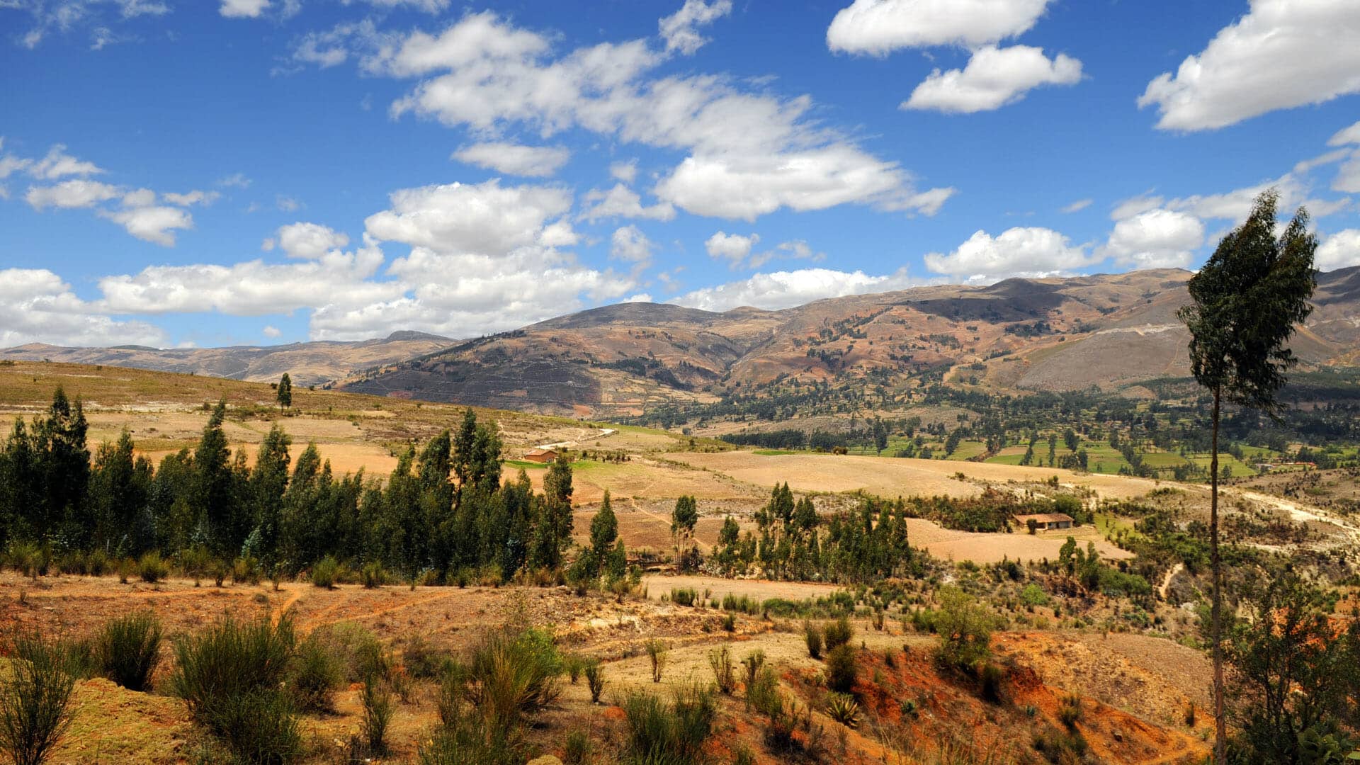 Northern Peru holidays - Tailor-made Peru by Steppes Travel