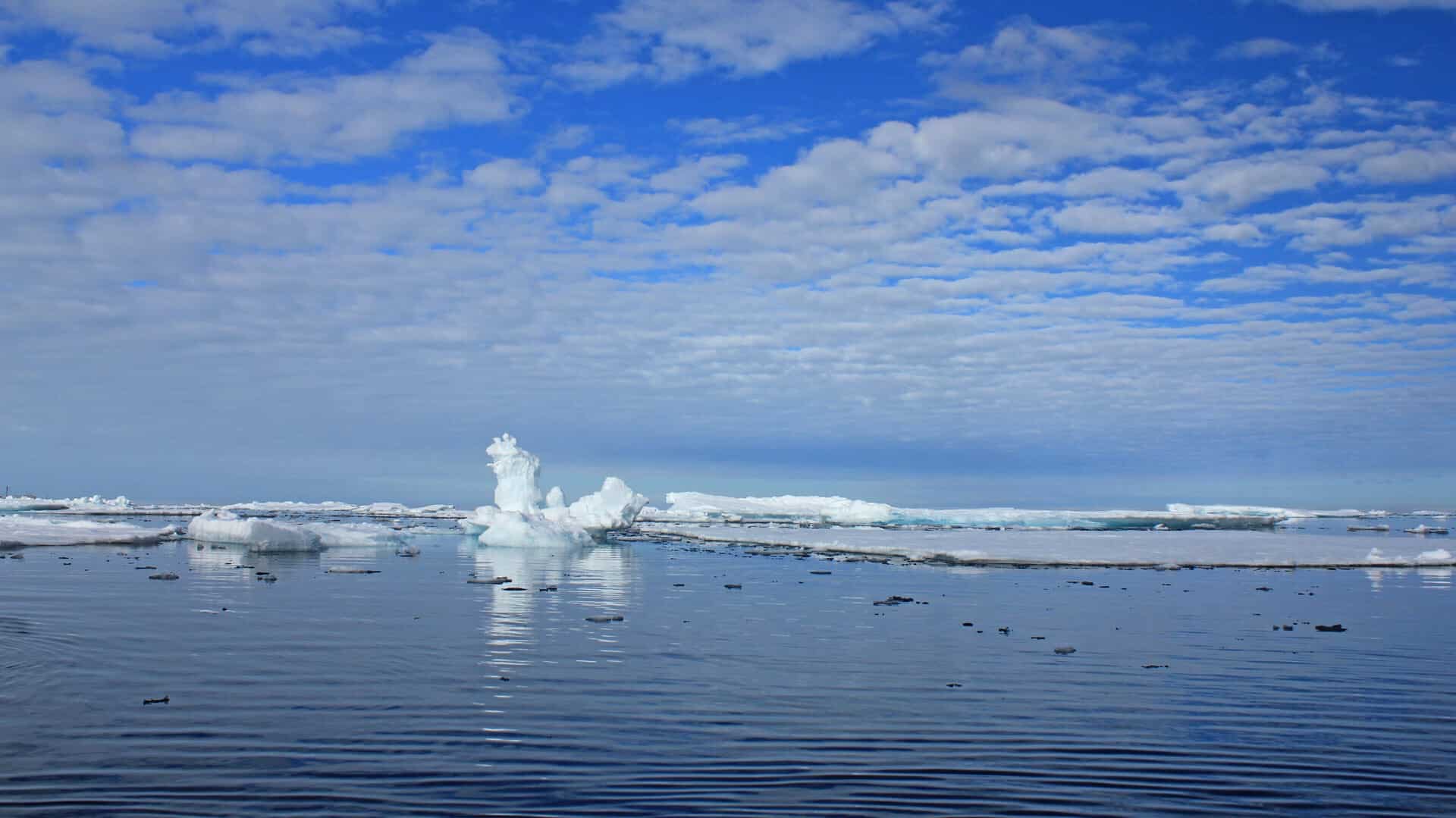 Taking the Polar Plunge - Steppes Travel