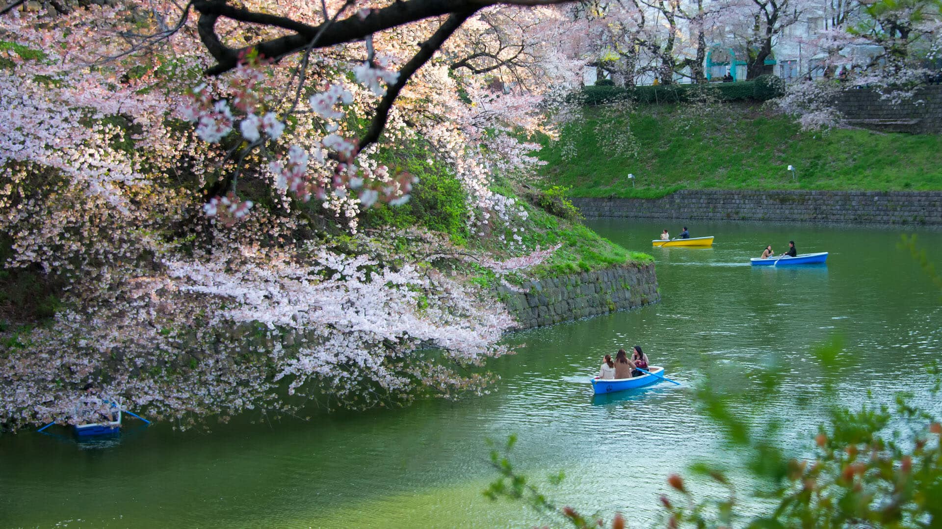 Hokkaido & Sapporo - Holidays to Japan - Steppes Travel