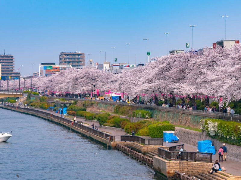 An adventurer's insight - Q & A with Chris Aslan Alexander