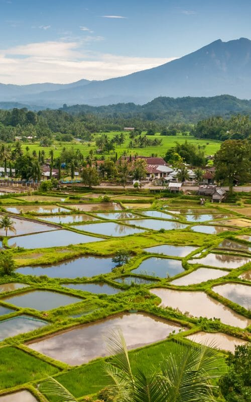 Sumatra holidays in Indonesia - Steppes Travel