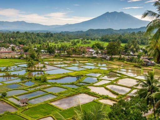 Sumatra holidays in Indonesia - Steppes Travel