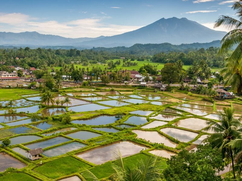 Sumatra holidays in Indonesia - Steppes Travel