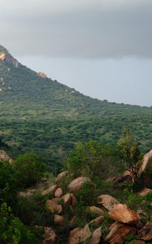 Laikipia Holidays - Kenya - Steppes Travel