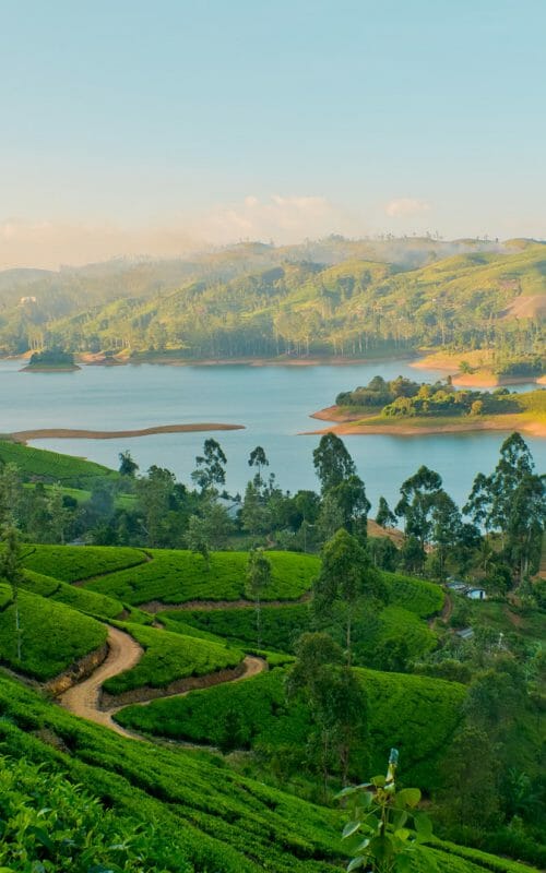 Kandy & The Tea Country, Sri Lanka | Holidays with Steppes