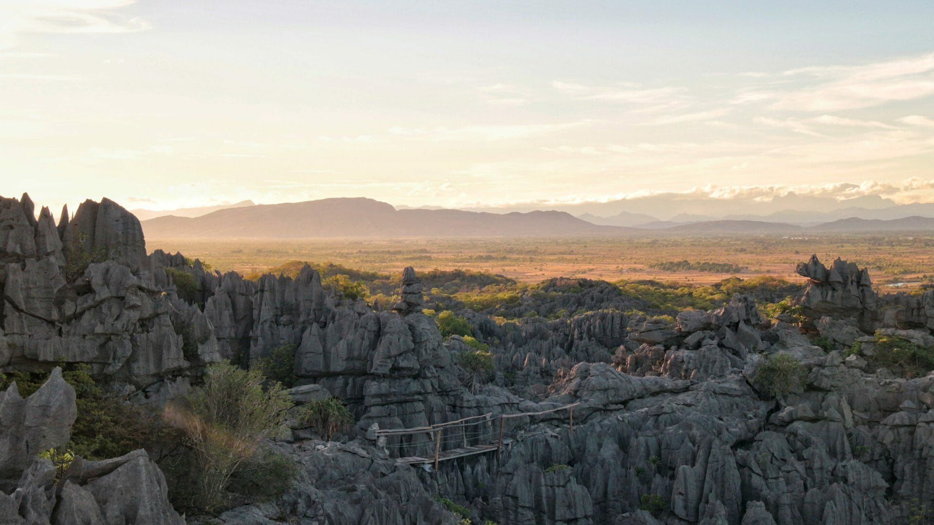 Ankarana Special Reserve - Madagascar holidays