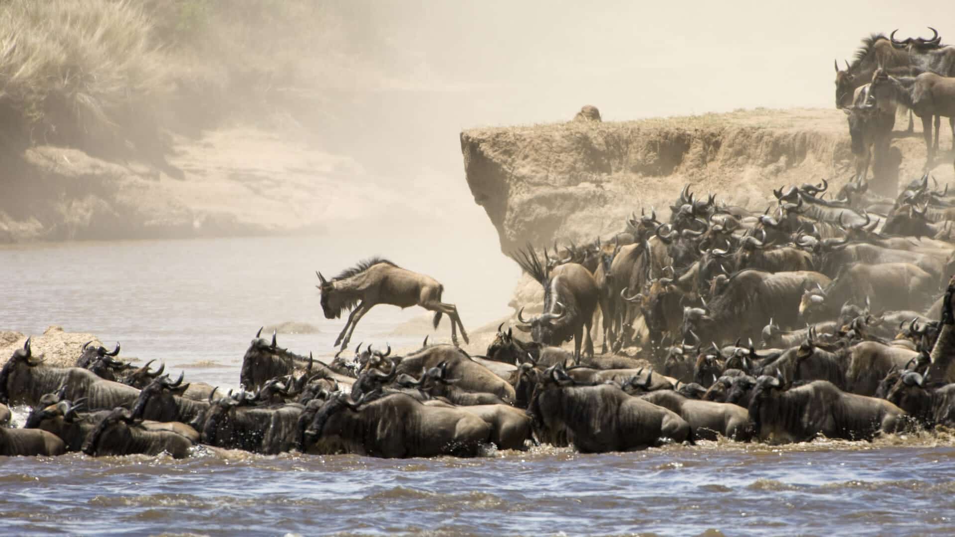 The Migration has arrived in Kenya - Steppes Travel