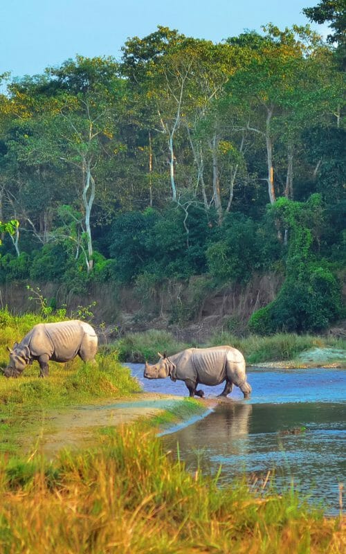 Visit Chitwan in Nepal on your Steppes Travel holiday