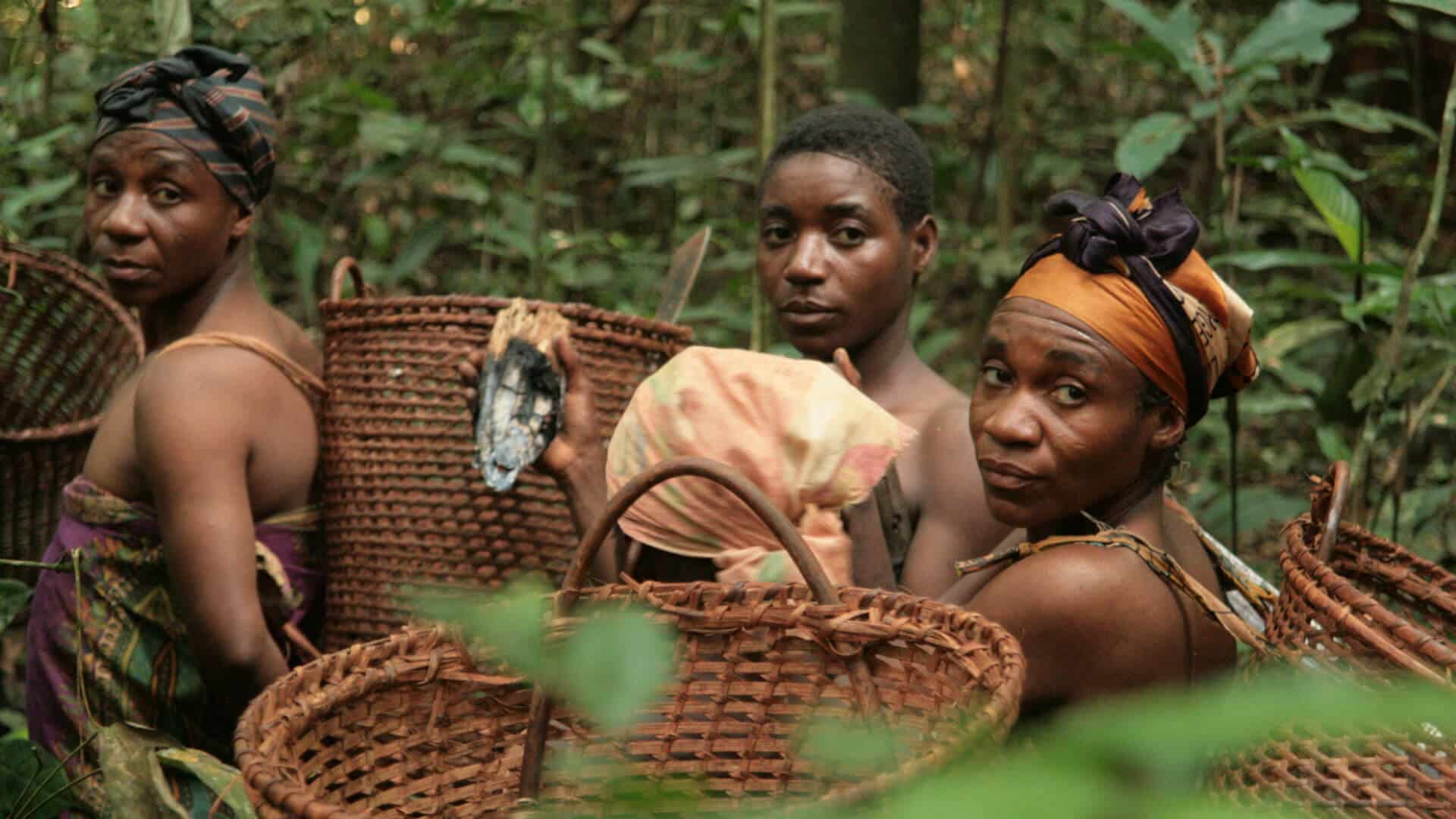 The Best Time to Visit Cameroon | When to go | Steppes Travel