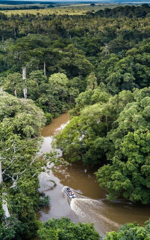 Nouabale-Ndoki National Park - Congo holidays