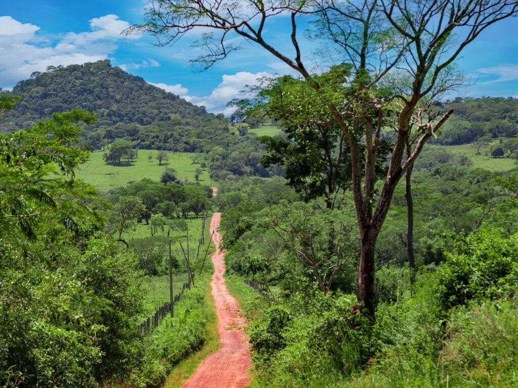 Darien National Park - Panama - Central America | Steppes Travel