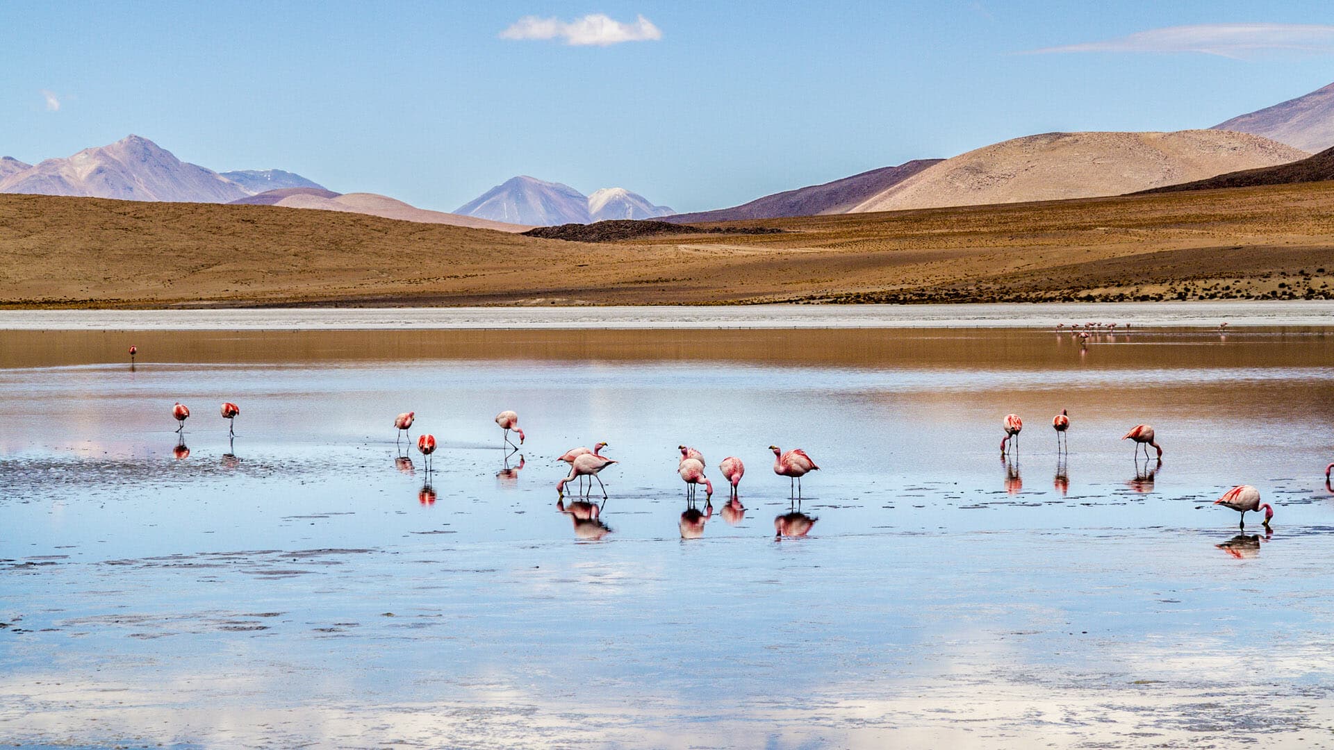 Bolivia Holidays - Luxury Holidays to Bolivia - Steppes Travel