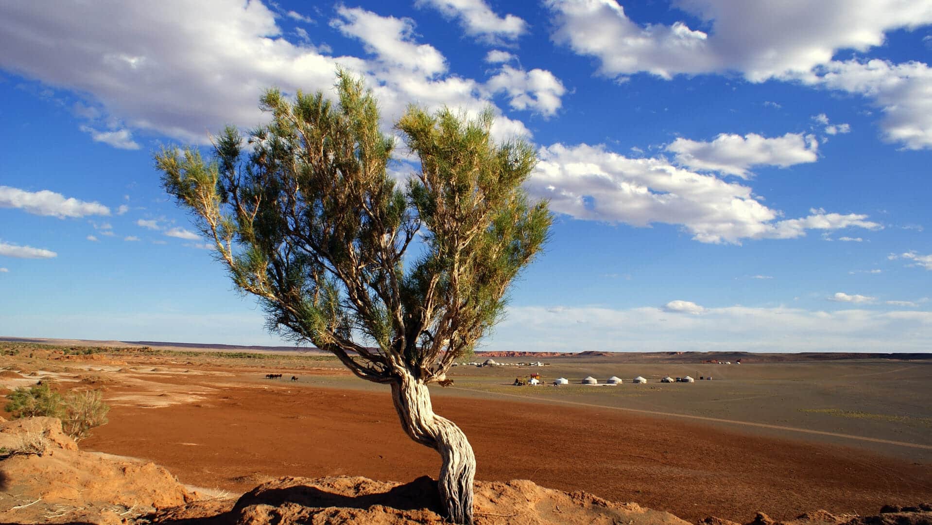 Mongolian Adventures - Steppes Travel