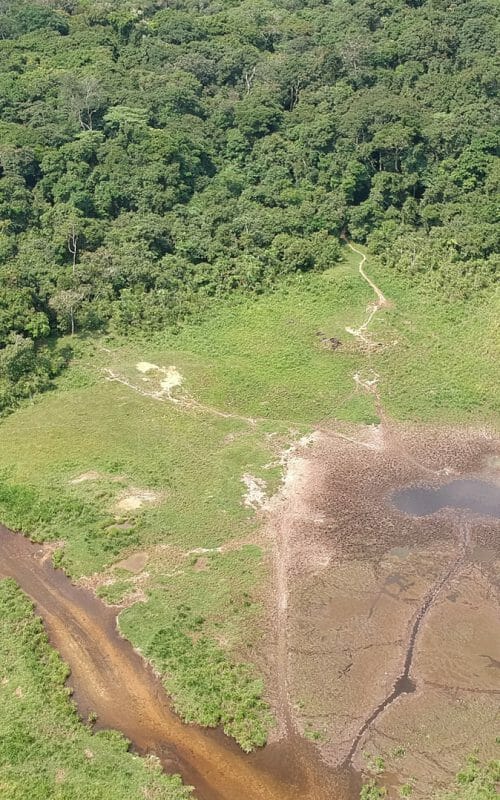 Gabon Holidays - Tours to Gabon - Steppes Travel