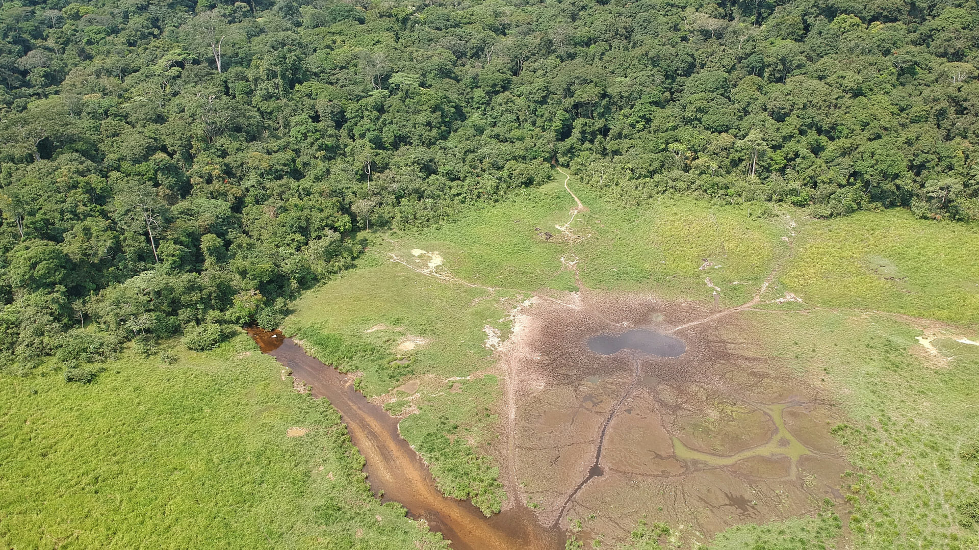 Ivindo National Park - Gabon - Africa | Steppes Travel