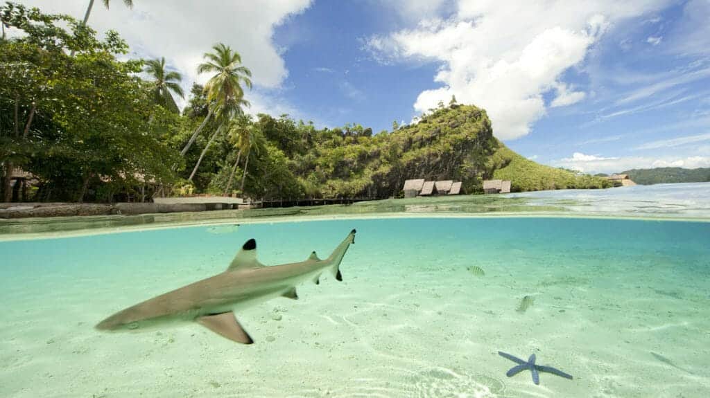 Misool Eco Resort - Misool, Indonesia | Steppes Travel