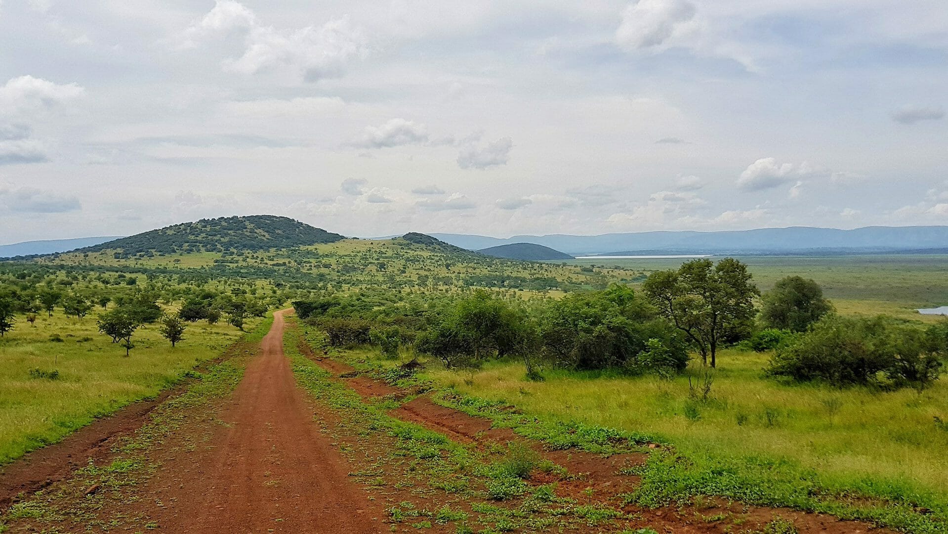 Akagera holidays in Rwanda - Steppes Travel