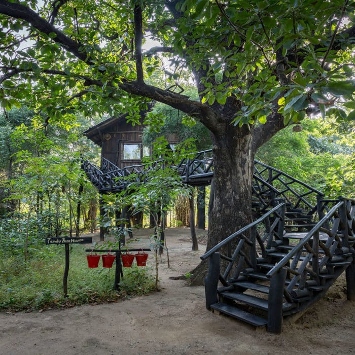 Tree House Hideaway - Bandhavgarh National Park, India