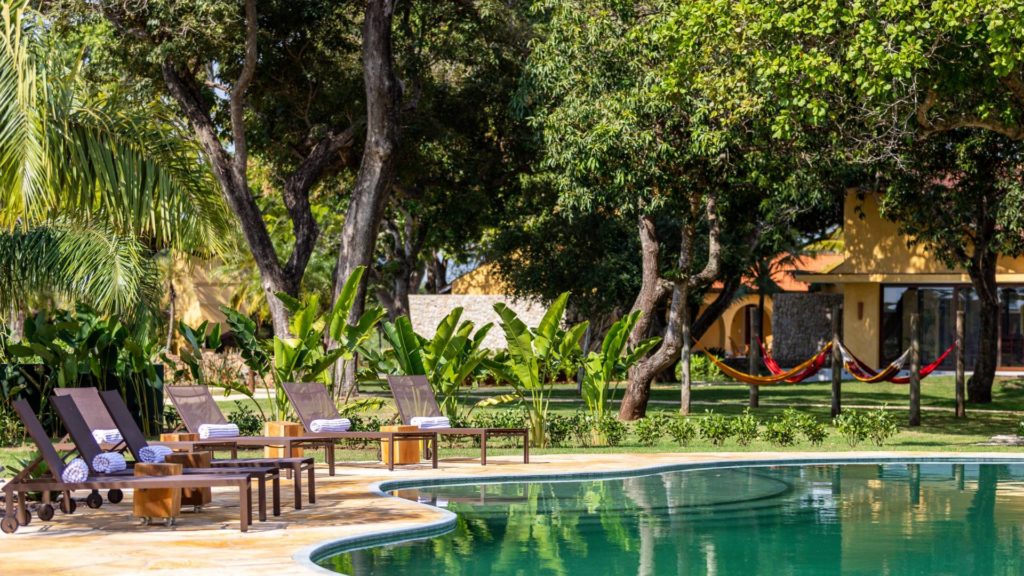 Caiman - Pantanal, Brazil | Steppes Travel