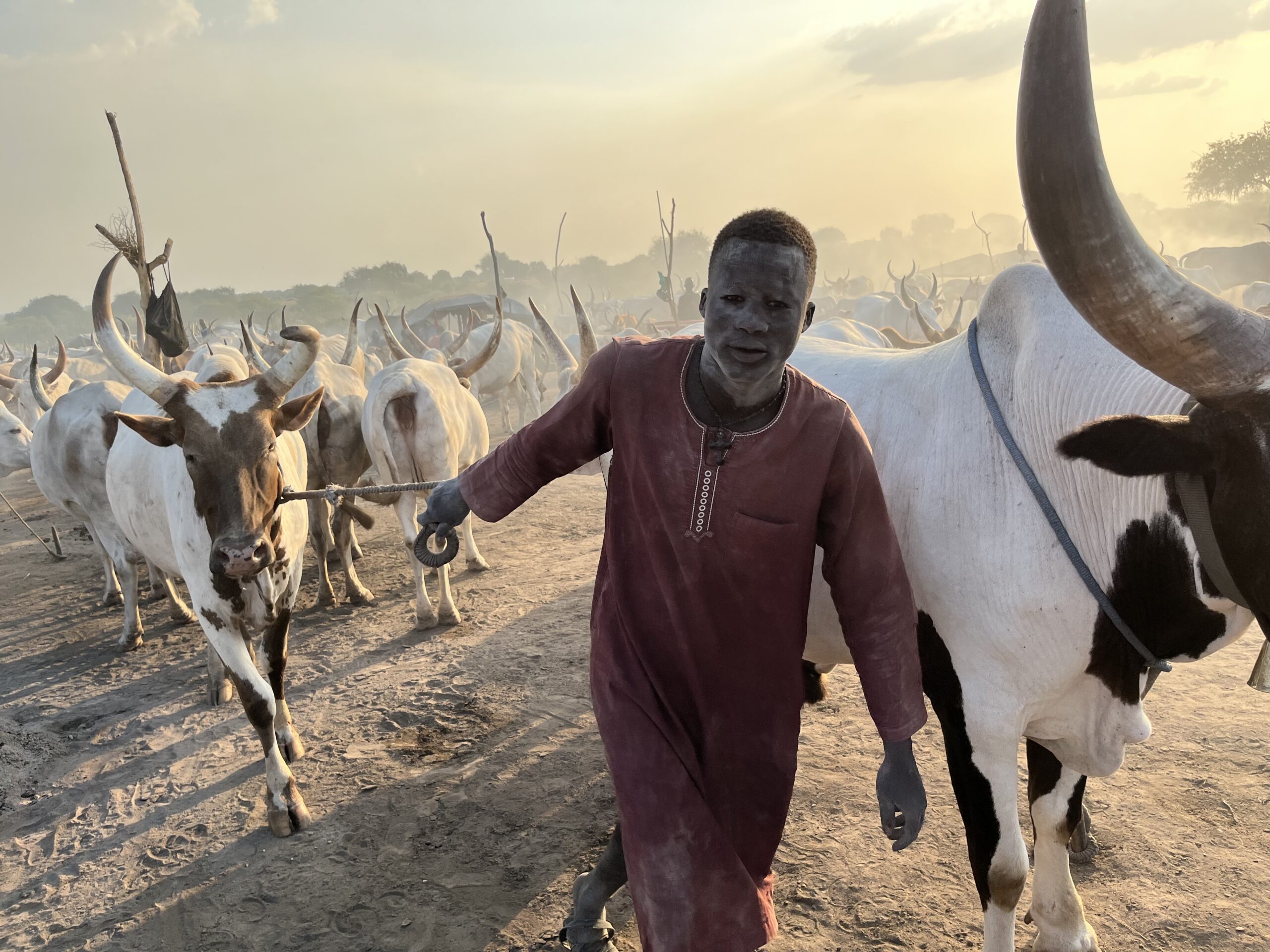 I do not have enough cows - Steppes Travel