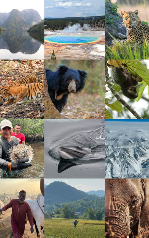 Steppes Travel Photo Competition - Steppes Travel