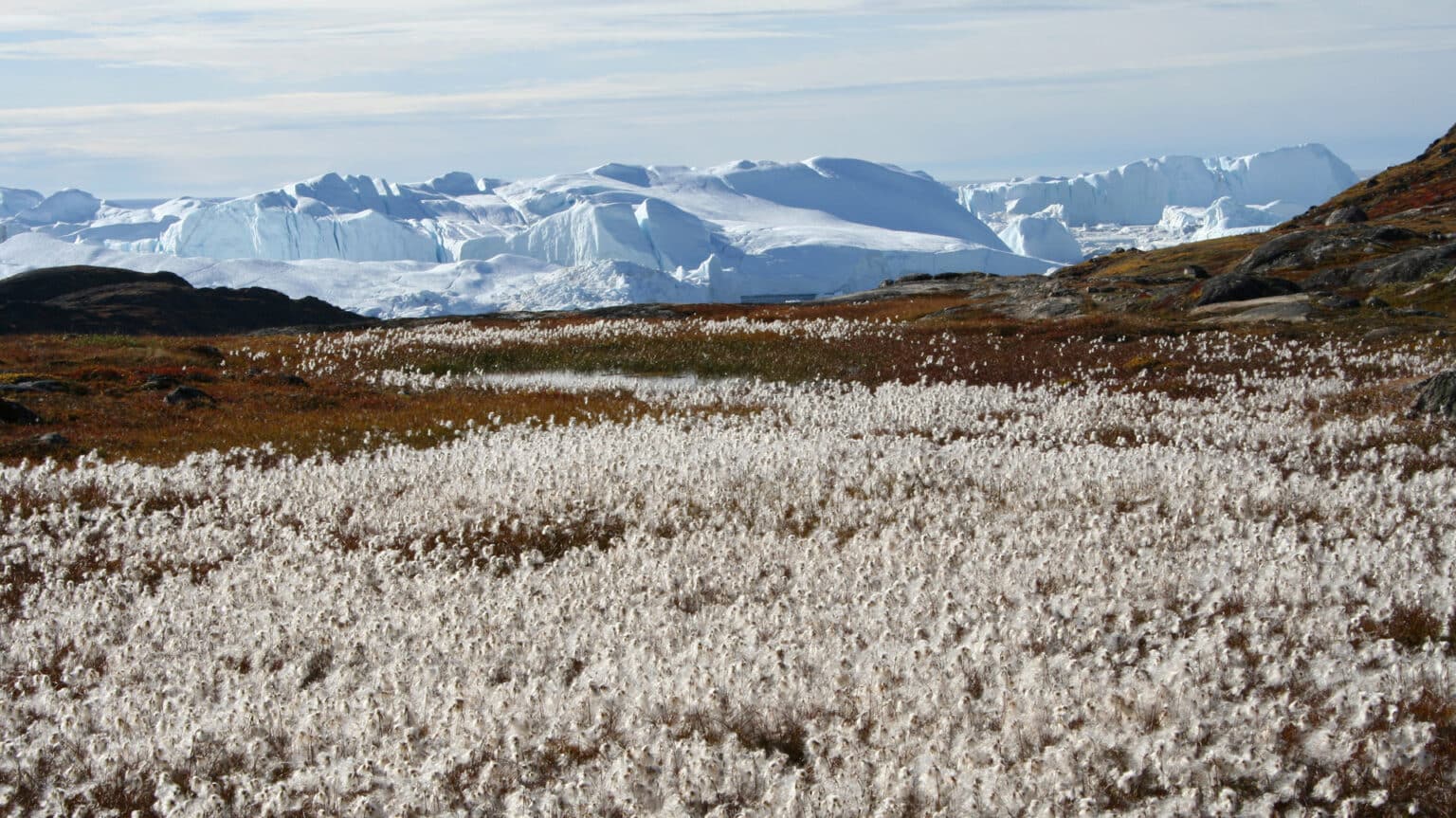 Our Top Experiences to Greenland - Steppes Travel
