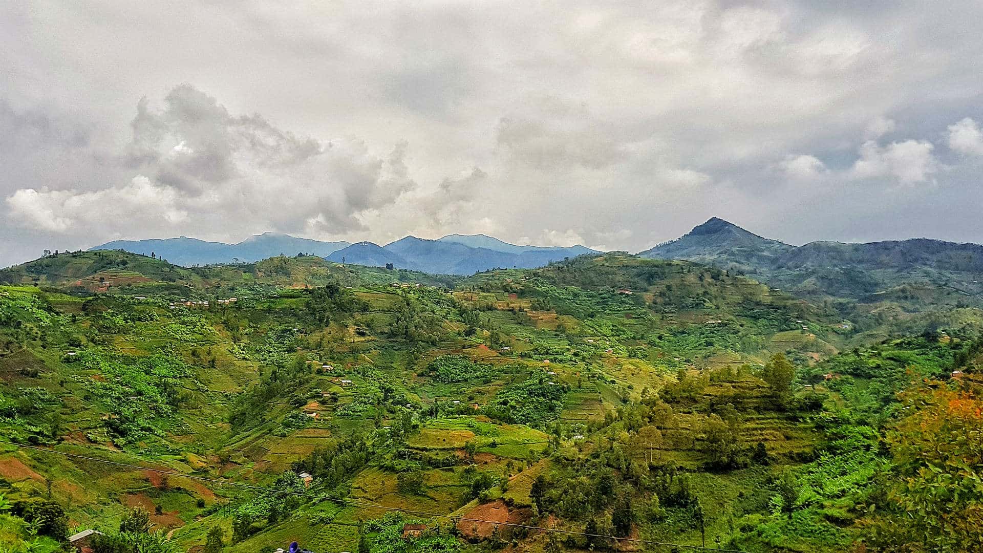 Rediscovering Rwanda in Nyungwe Forest National Park - Steppes Travel