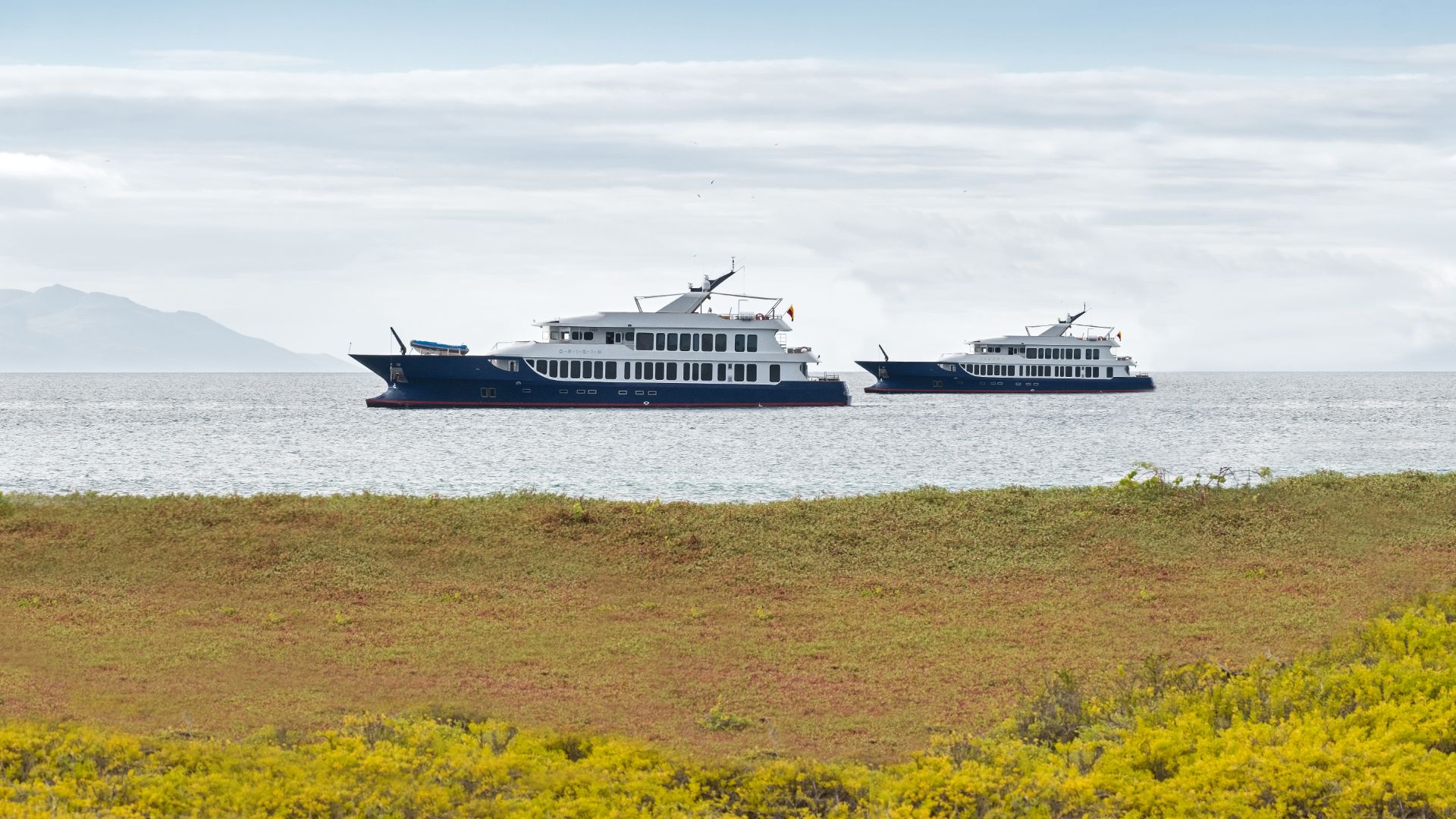 Origin, Theory & Evolve - Galapagos Island Cruises - Steppes Travel
