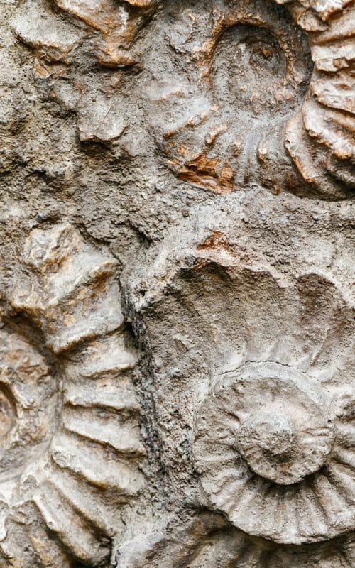 John Pickrell - Tour Expert - Steppes Travel