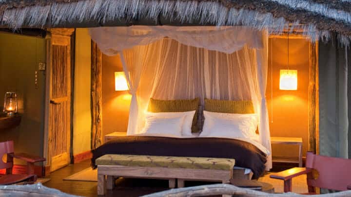 Onguma Tree Top Camp - Etosha National Park, Namibia