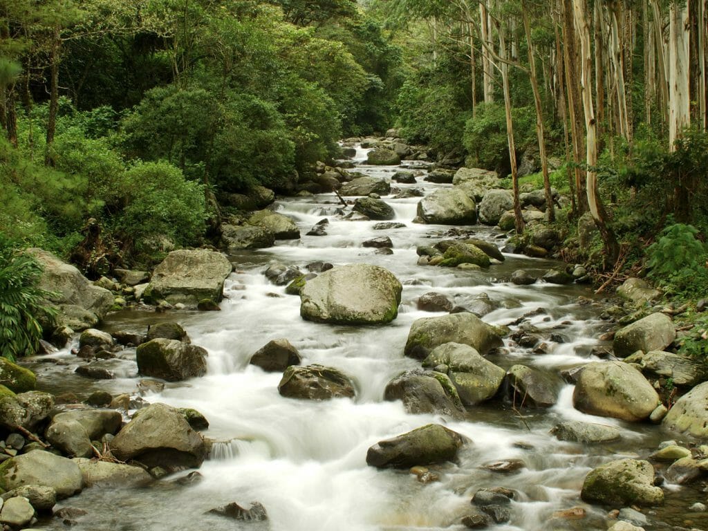 Panama Holidays - Luxury Holidays to Panama - Steppes Travel