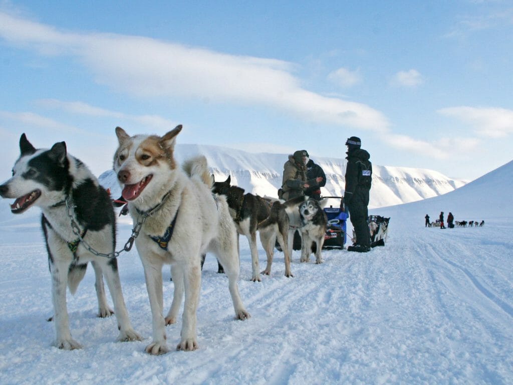 Dog Sledding in Svalbard - Svalbard Itinerary - Steppes Travel