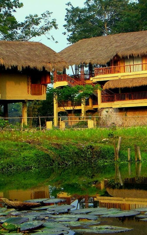 Kaziranga National Park holidays, India - Steppes Travel