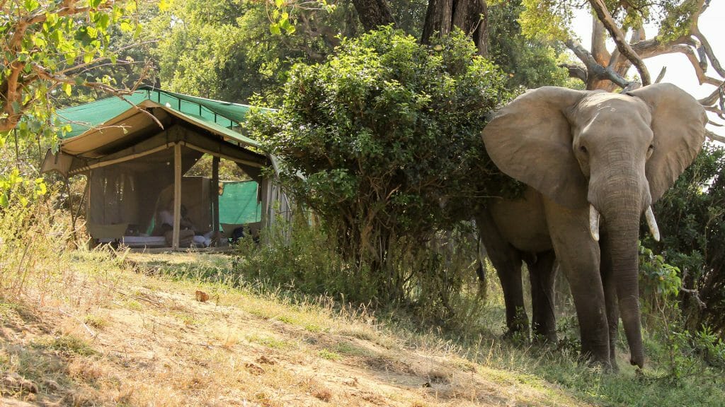 Gonarezhou Bush Camp - Gonarezhou National Park, Zimbabwe