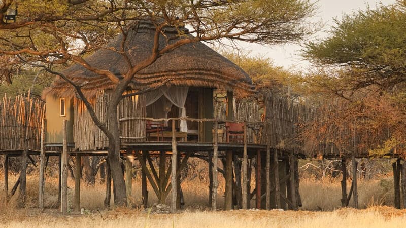 Onguma Tree Top Camp - Etosha National Park, Namibia